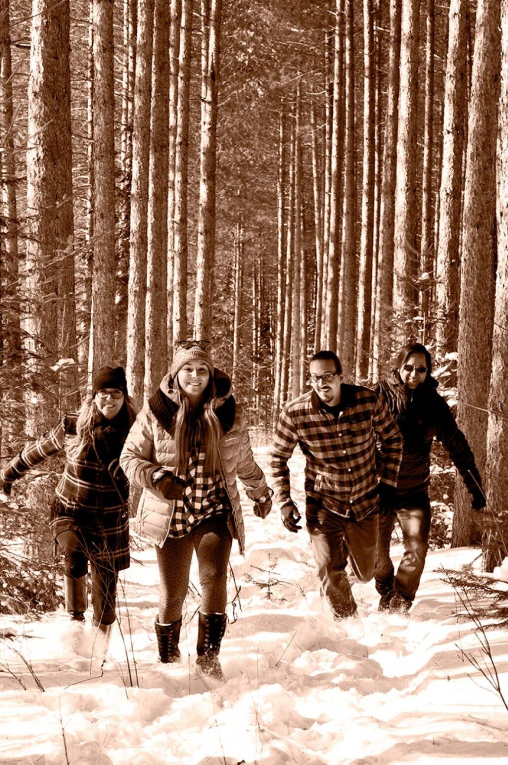 Gastronomie engagée - Restaurant à Québec | Laurie Raphaël